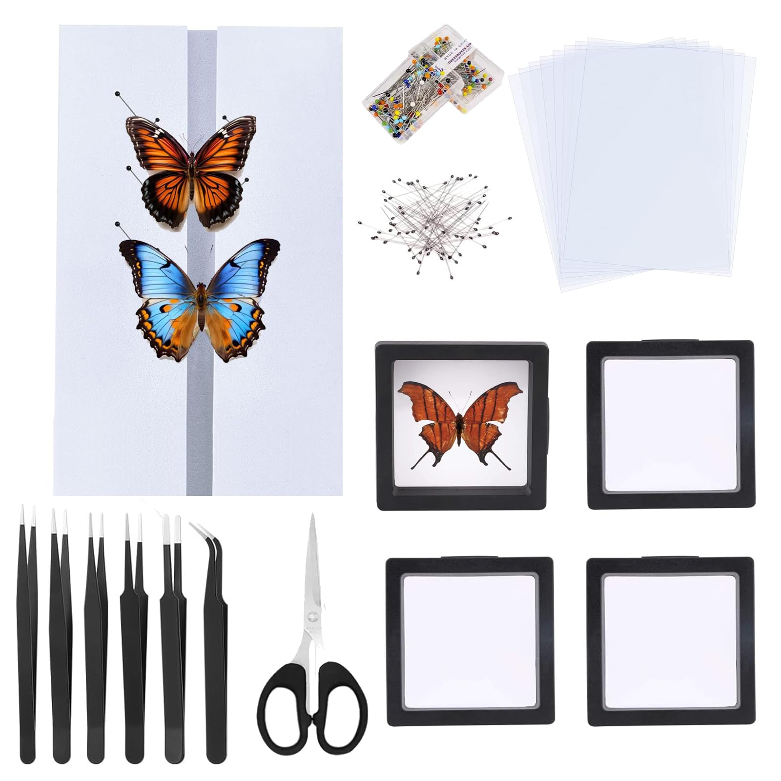 Pua Costume Entomology Starter Kit – Insect Pinning, Mounting Board ...