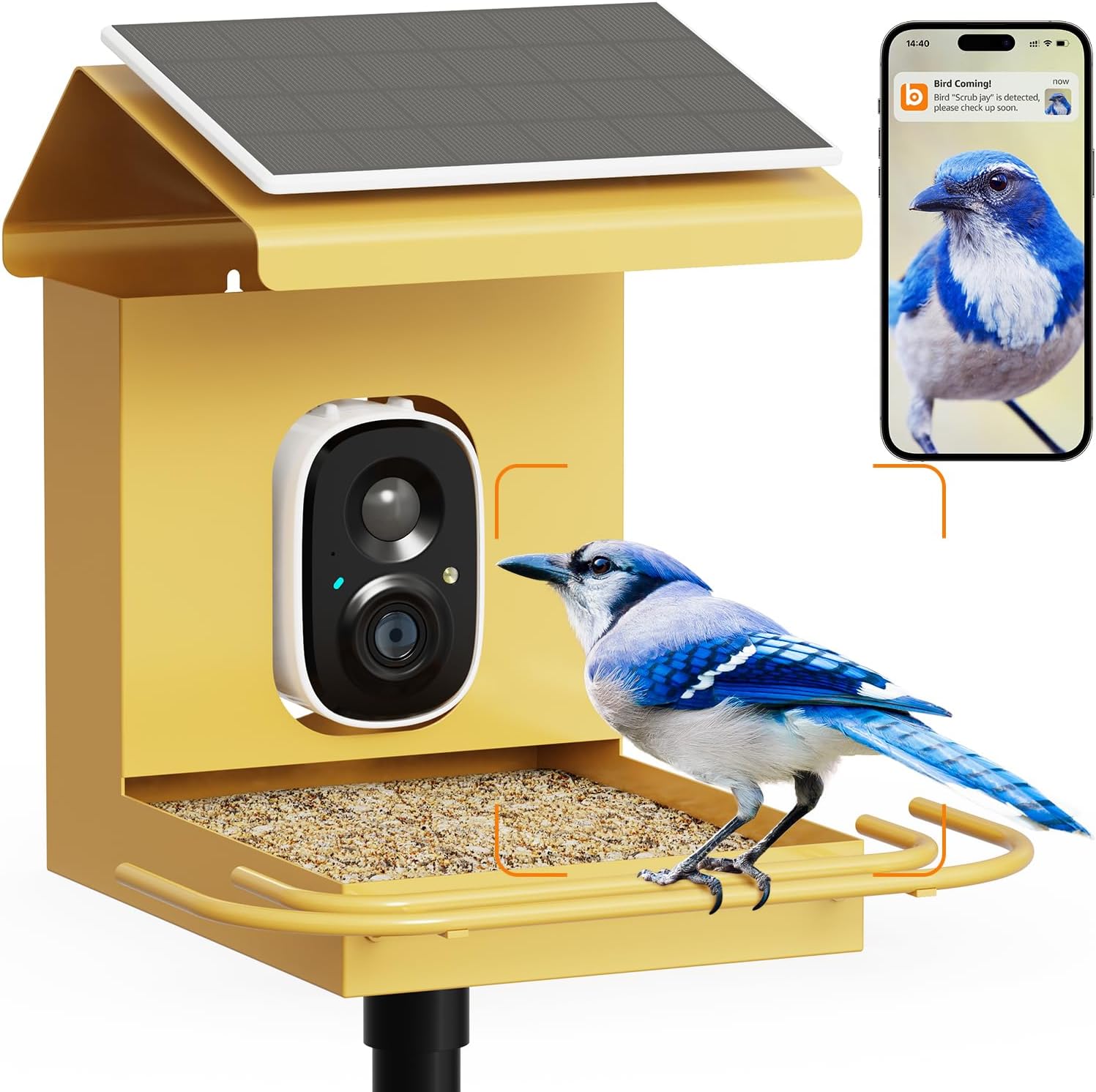 Amazon.com : Metal Smart Bird Feeder with Camera Solar Powered ...