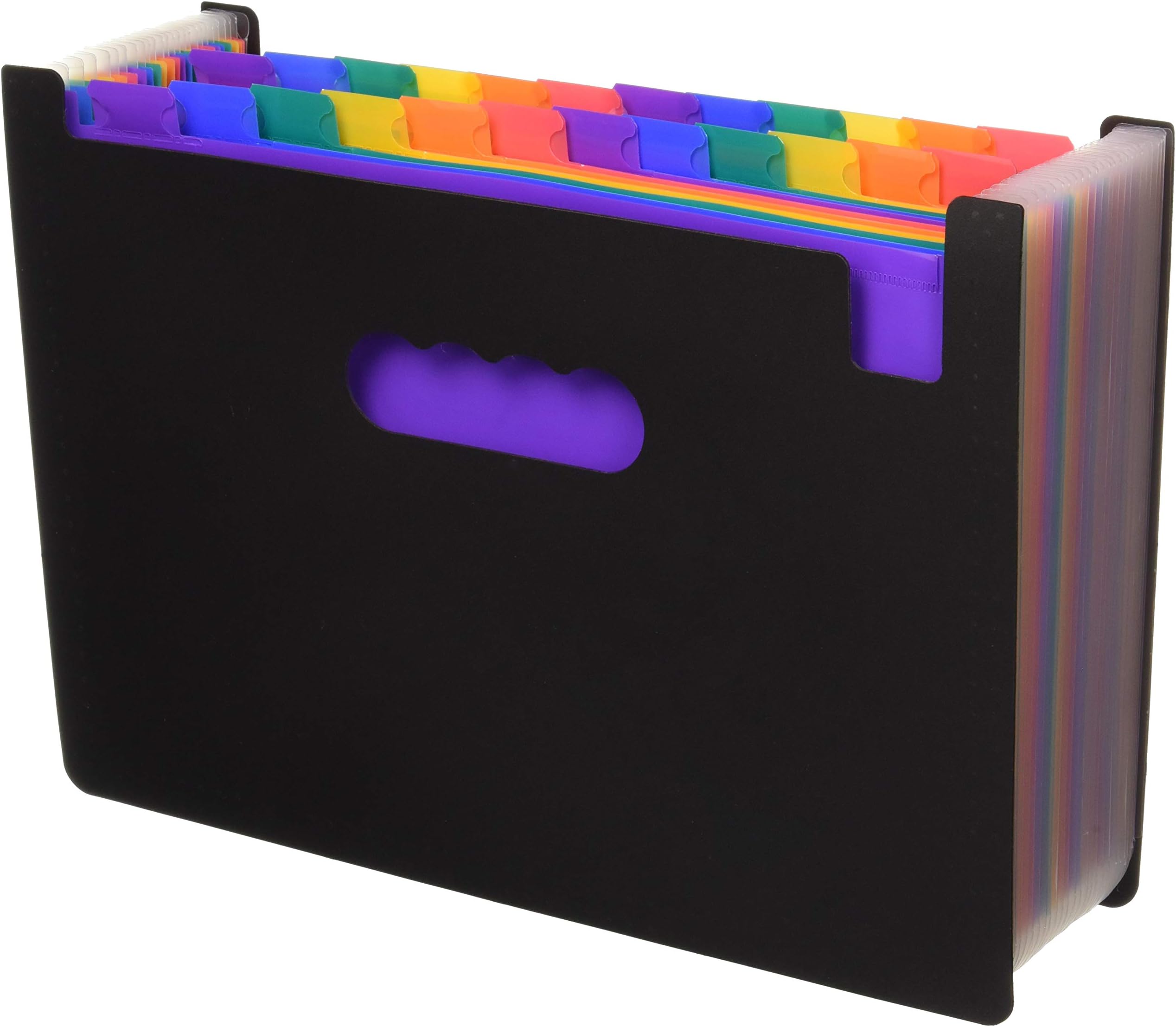 Amazon.com : 24 Pockets Expanding Files Folder/ A4 Expandable File ...