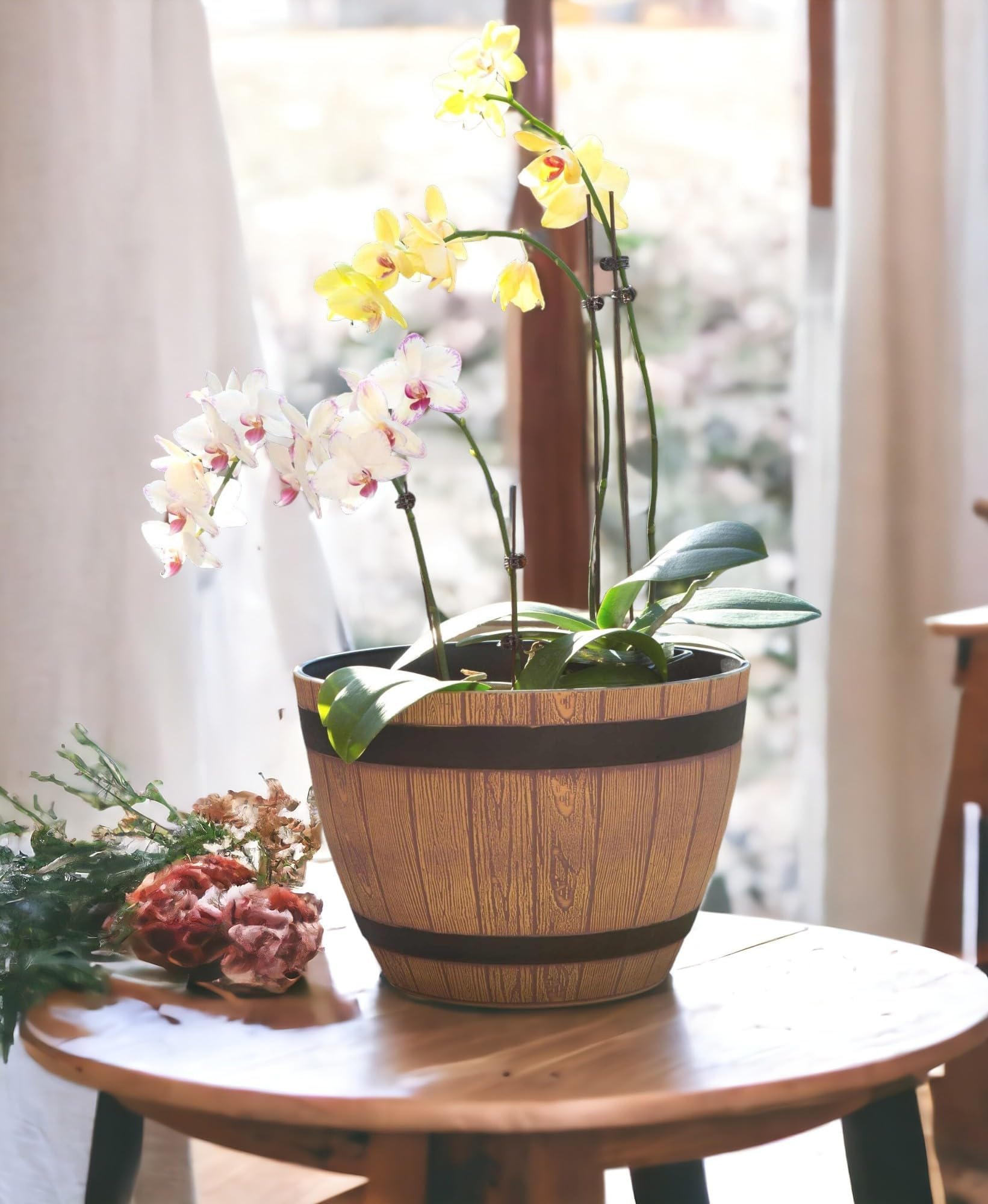 Temesso Demi-tonneau de vin en Bois de chêne- pôt de Fleurs ou Mini ...