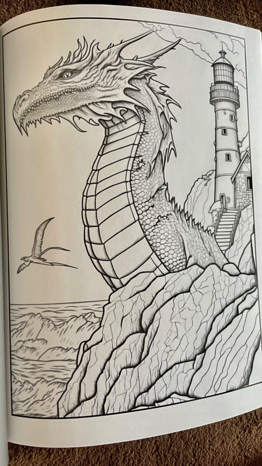 Amazon | Fantasy Fairy Homes: An Adult Coloring Book Full of Whimsical ...