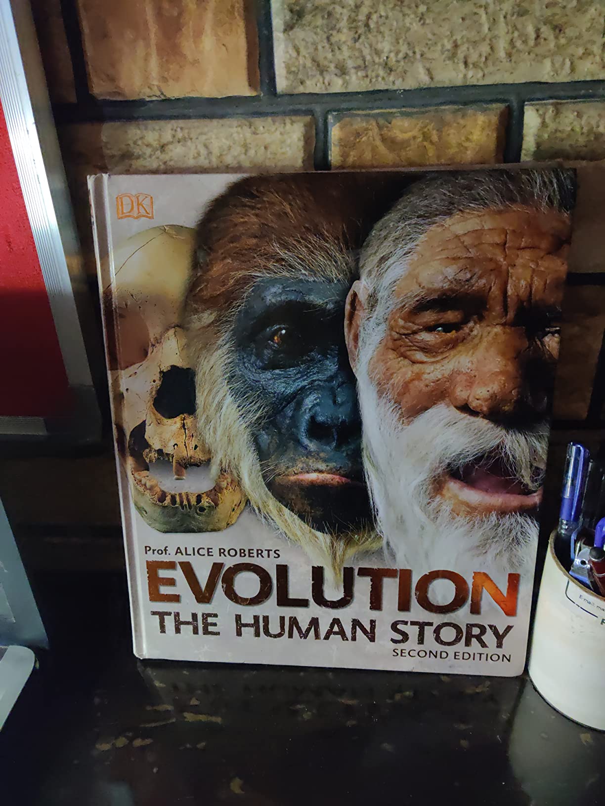 Buy Evolution The Human Story Book Online at Low Prices in India ...