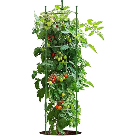 Amazon.com : Growsun Tomato Cages for Garden Up to 63 inch Large ...