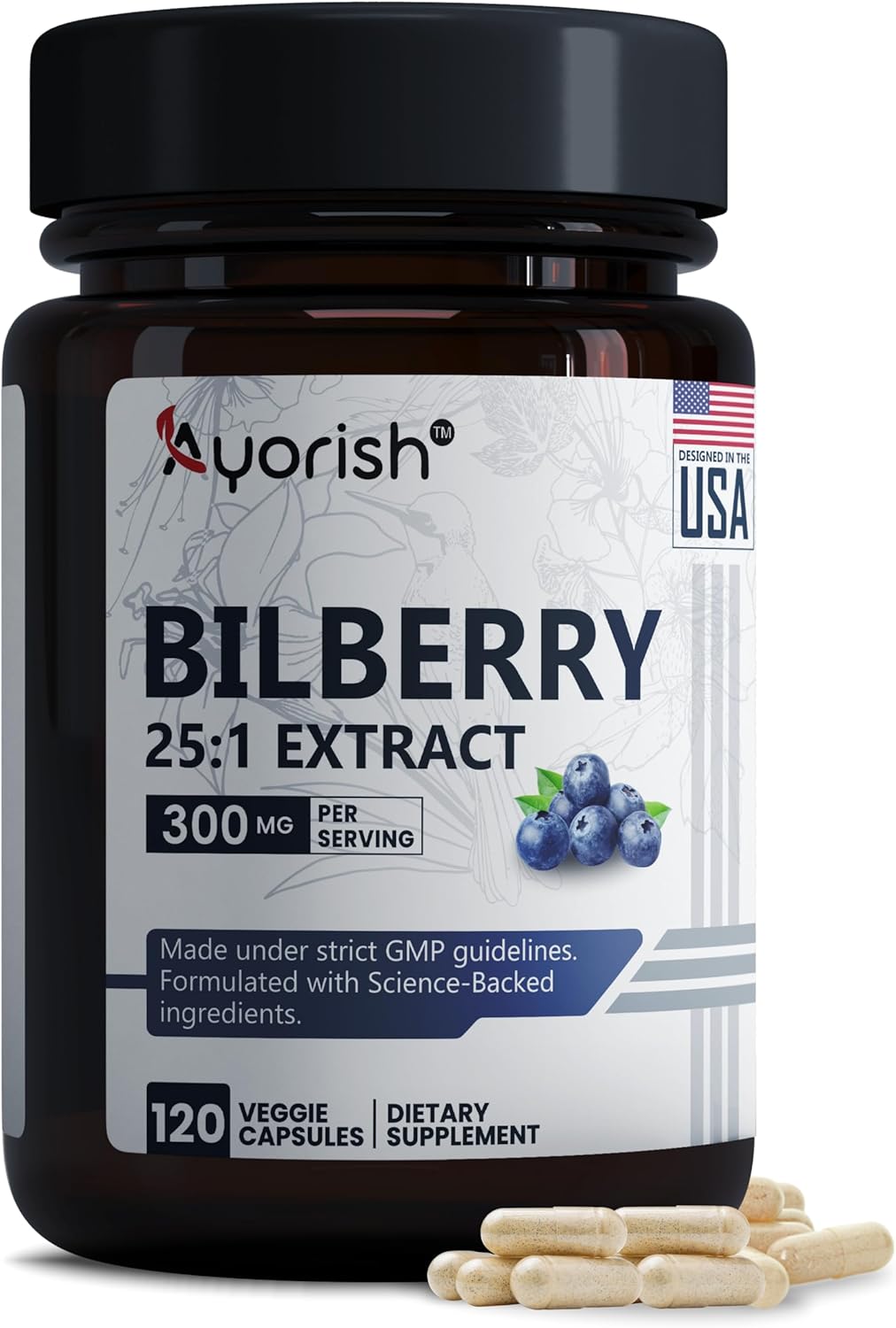 Amazon.com: Ayorish Bilberry Extract Capsules | 120 Count | Vegetarian ...