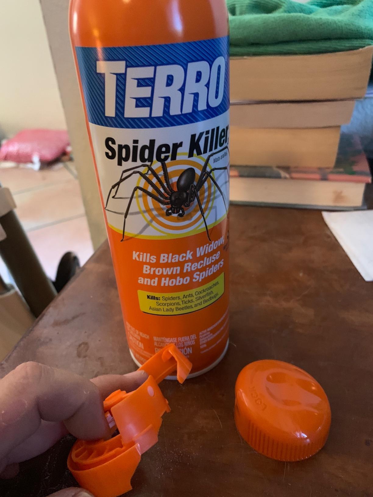Amazon.com: TERRO T2302 Spider, Ant, Roach, and Other Insects Killer ...