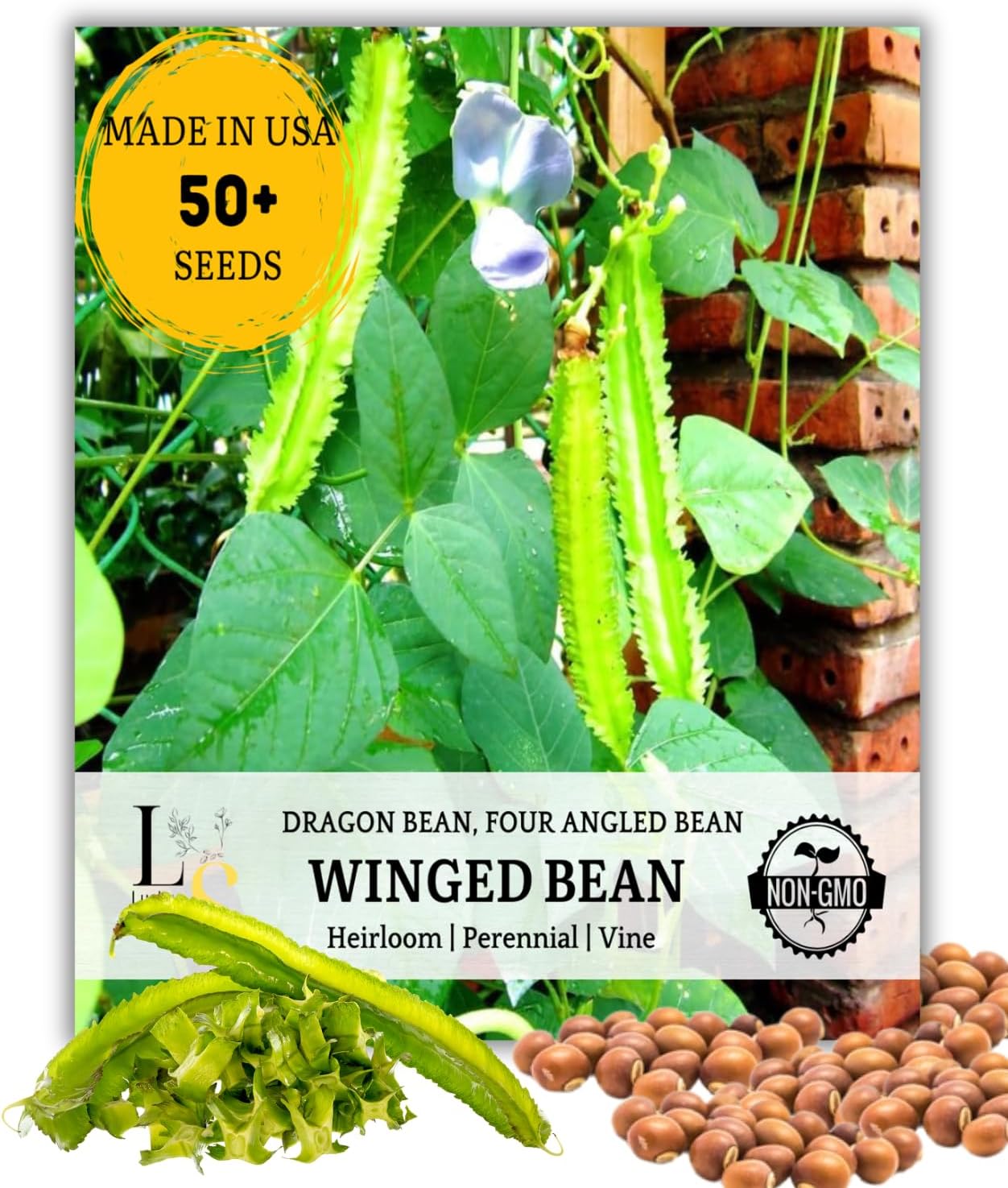 Amazon.com : MOCCUROD 30+ Yard Long Bean Seeds Asian Vegetable Long ...