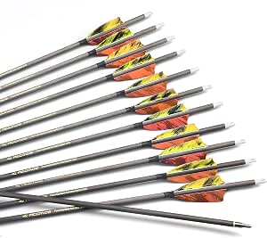 Amazon.com: 6/12pc Custom Length Feathered Carbon Shaft Arrows 300 350 ...