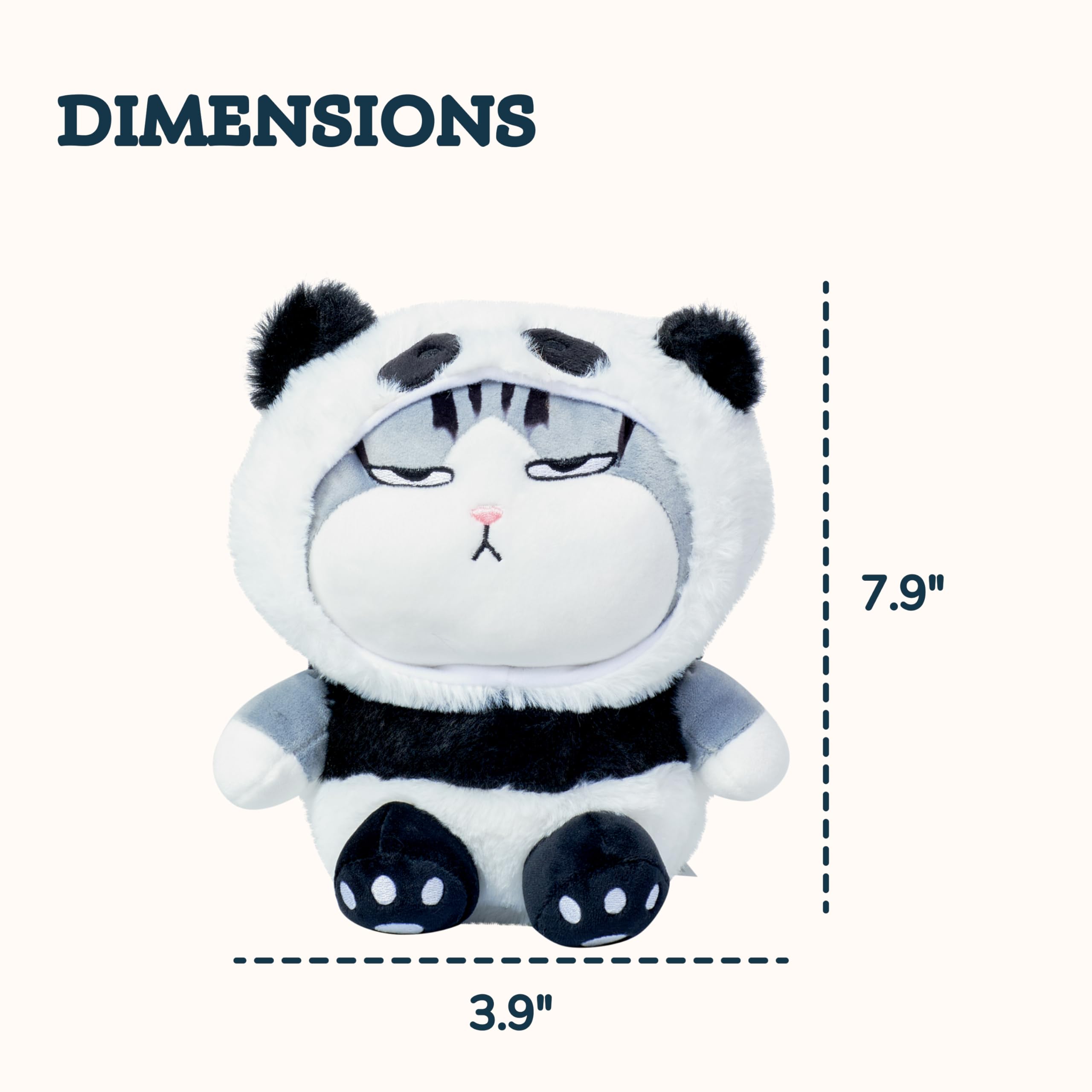 Cats That Look Like Panda Bears