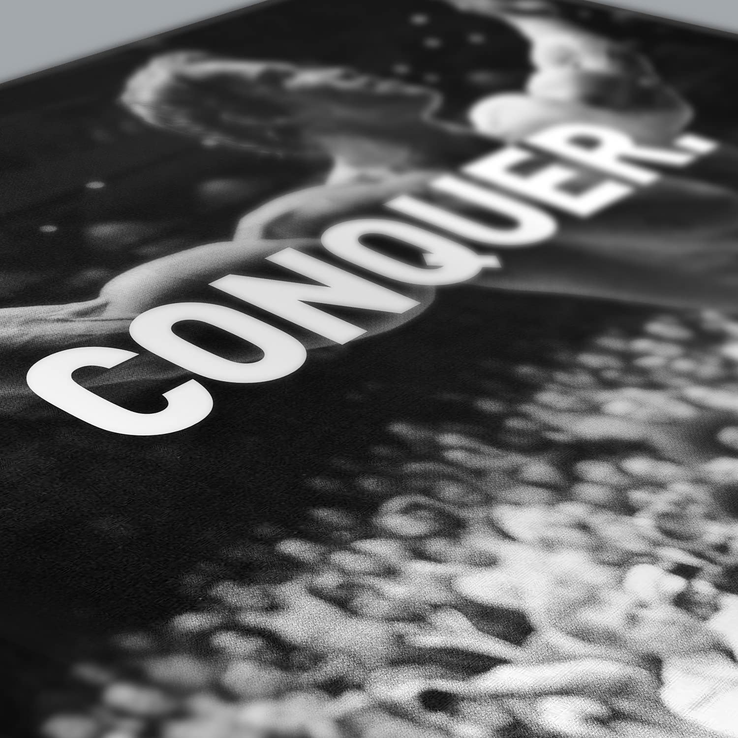 Arnold Schwarzenegger Wallpaper Conquer