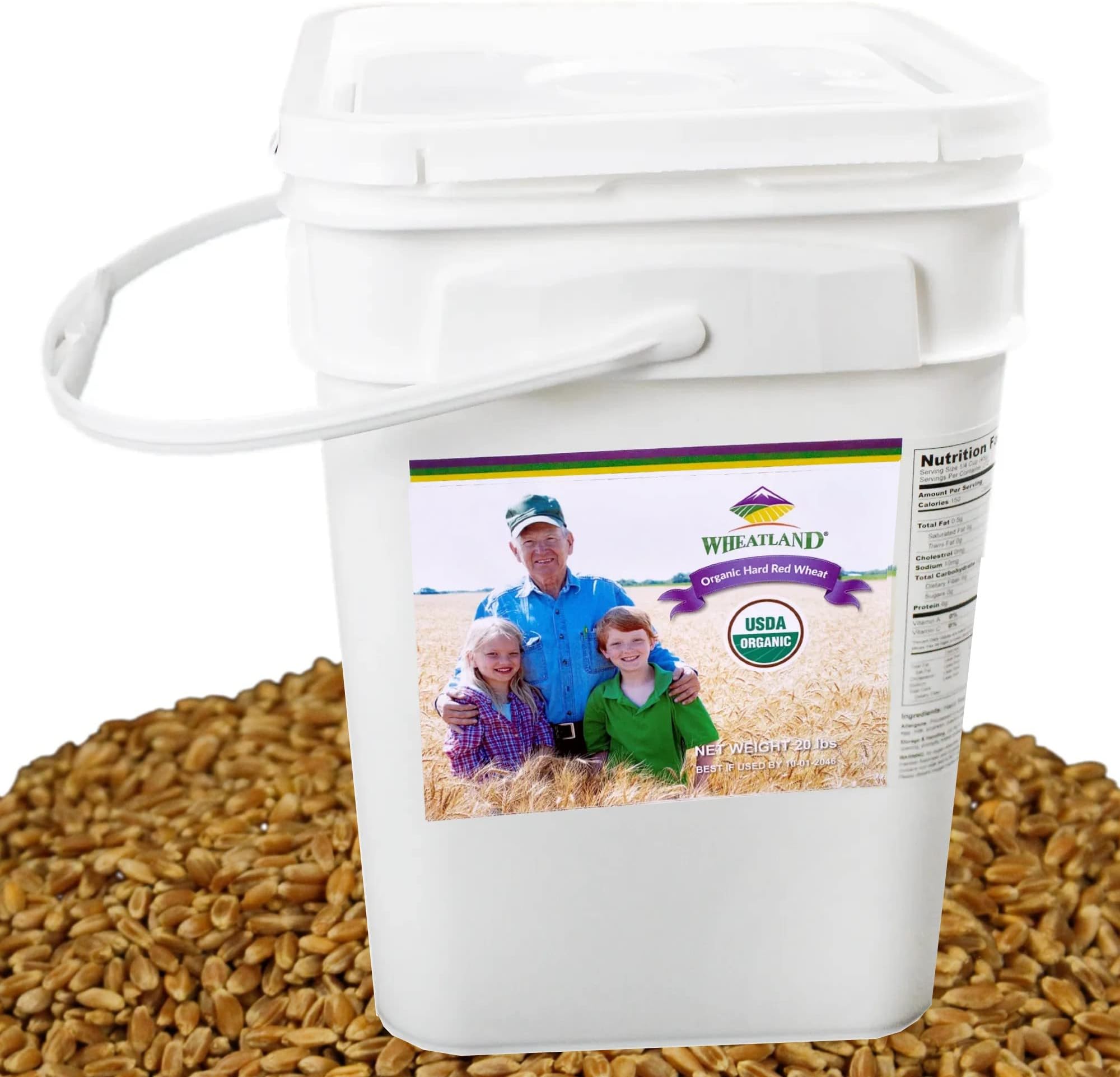 Amazon.com : 5 Lb Bulk Non-GMO Organic Whole Wheat Kernels - Hard White ...