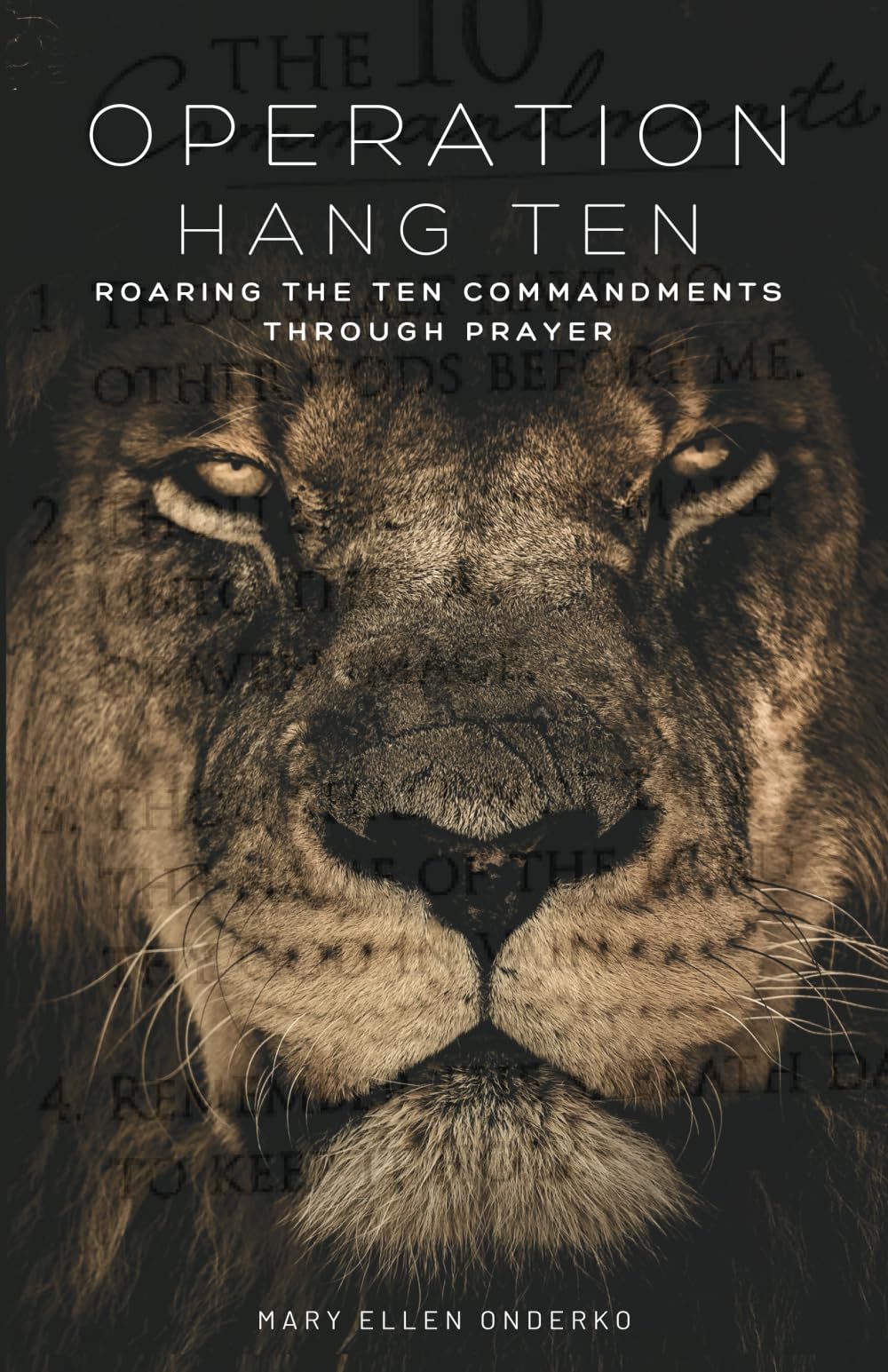 Operation Hang Ten: Roaring The Ten Commandments Through Prayer ...
