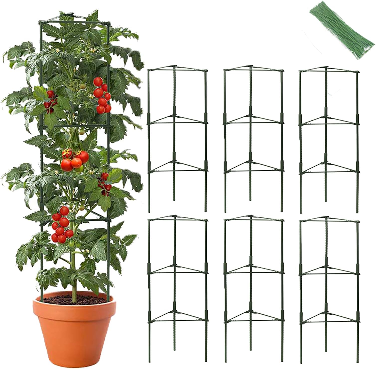 Amazon.com : arbxvnr 6 Package up to 48in Tomato cage Garden Grid Plant ...