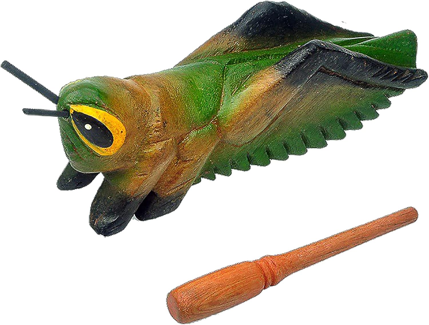 Amazon.com: Wooden Cricket Guiro Rasp Instrument - Percussion Musical ...