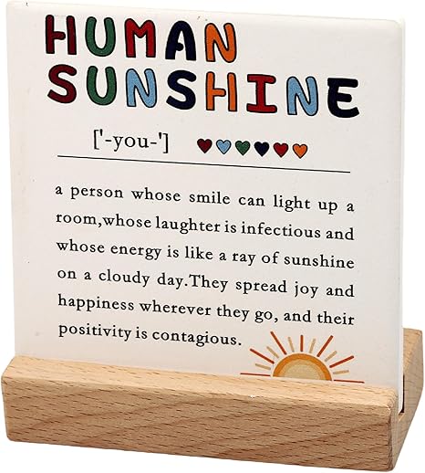 Amazon.com: Human Sunshine Definition Desk Signs,Funny Appreciation ...