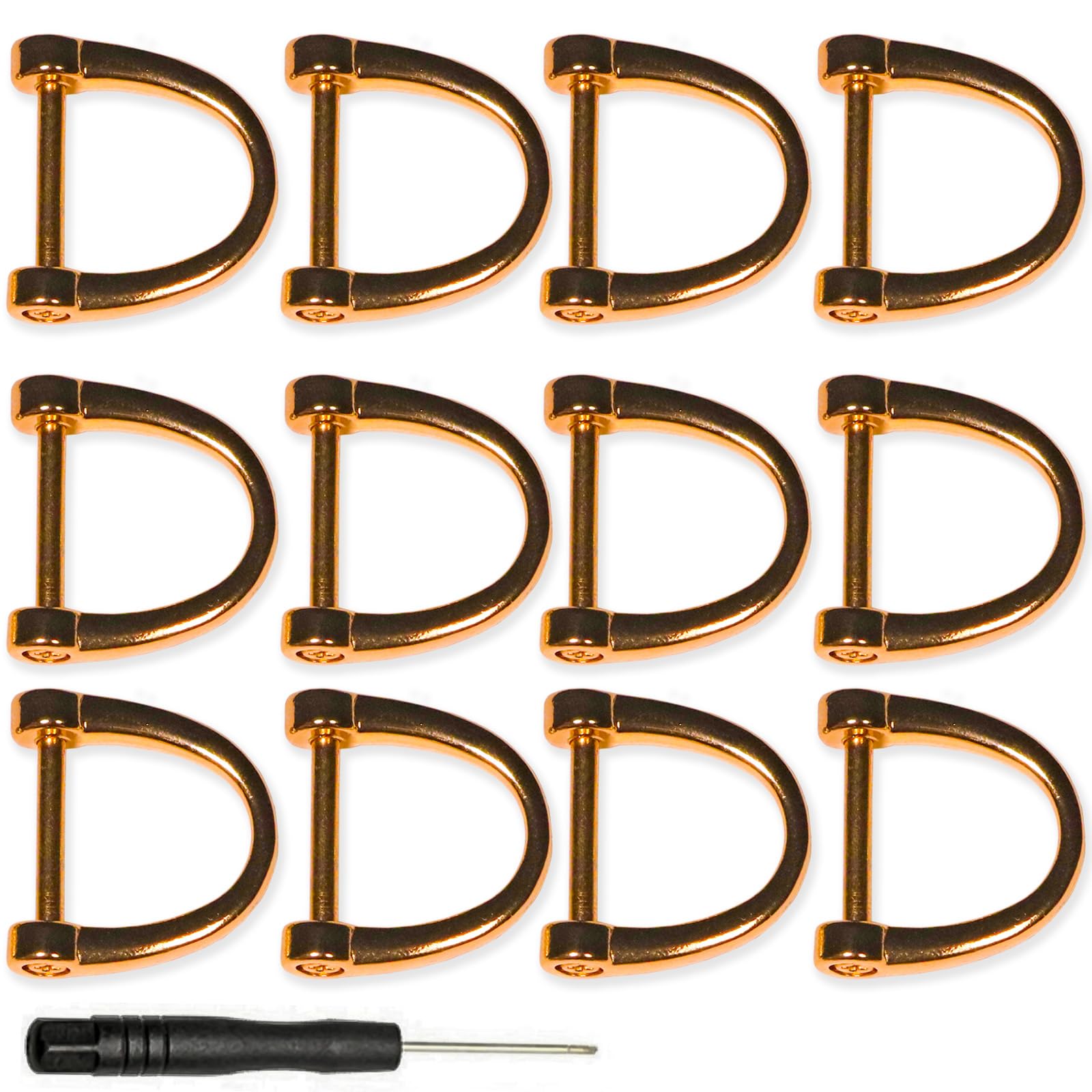 Amazon.com: joaoxoko D Ring Keychain,12pcs D-Rings Screw in Shackle ...