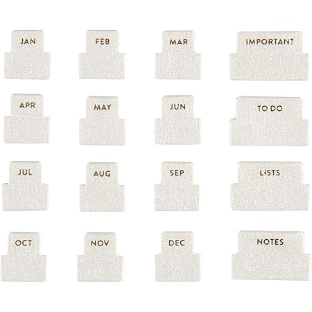 Amazon.com : DiverseBee Laminated Planner Monthly Tabs, 24 Peel and ...