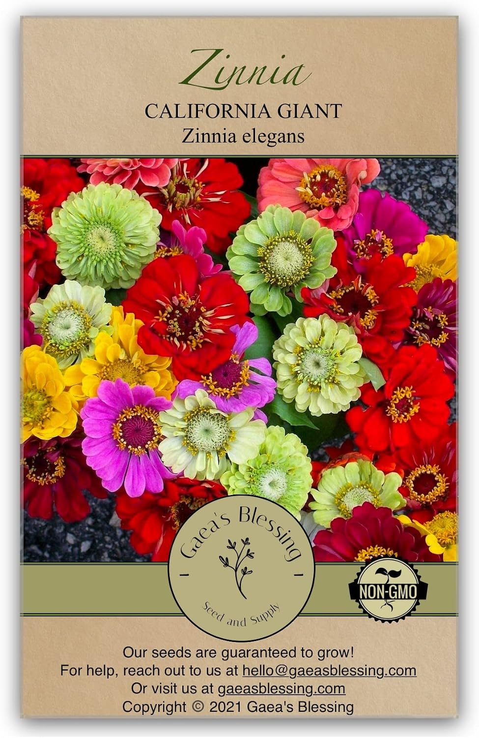 Amazon.com : Gaea's Blessing Seeds - Zinnia Seeds - California Giants ...