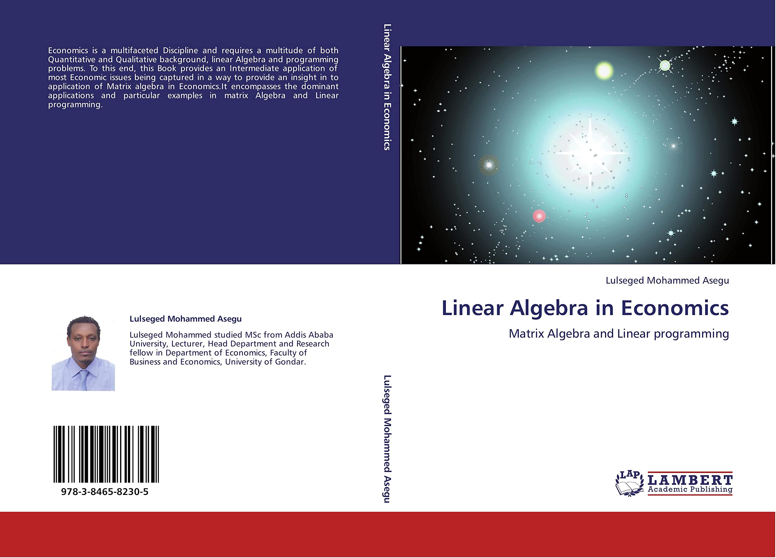 Linear Algebra in Economics: Matrix Algebra and Linear programming ...