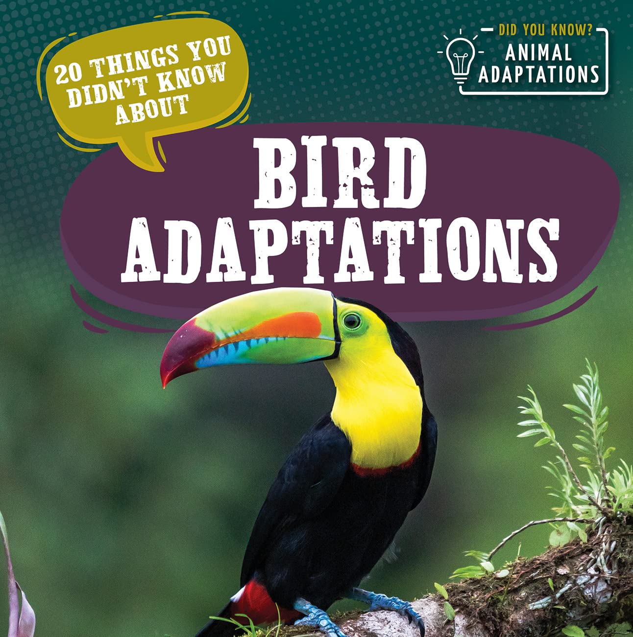20 Things You Didn't Know About Bird Adaptations (Did You Know? Animal ...