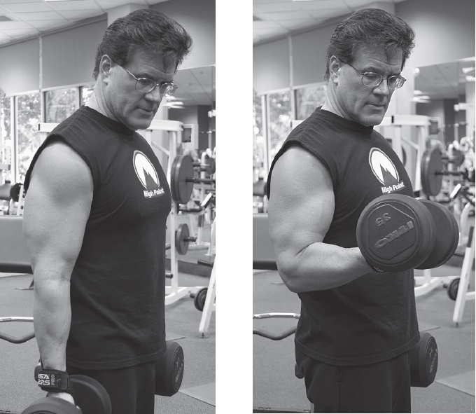 Amazon.in: Michael Spitzer: books, biography, latest update