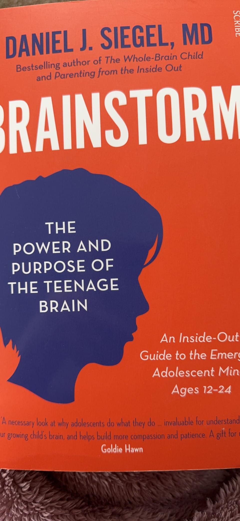Brainstorm: the power and purpose of the teenage brain eBook : Siegel ...
