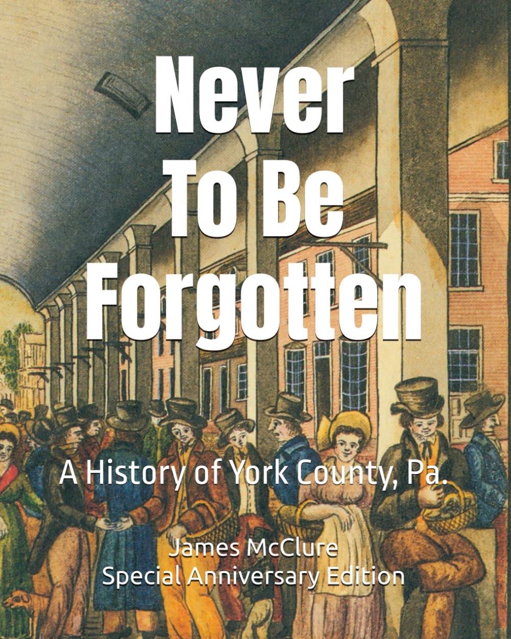 Never to be Forgotten: A History of York County, Pa.: McClure, James ...