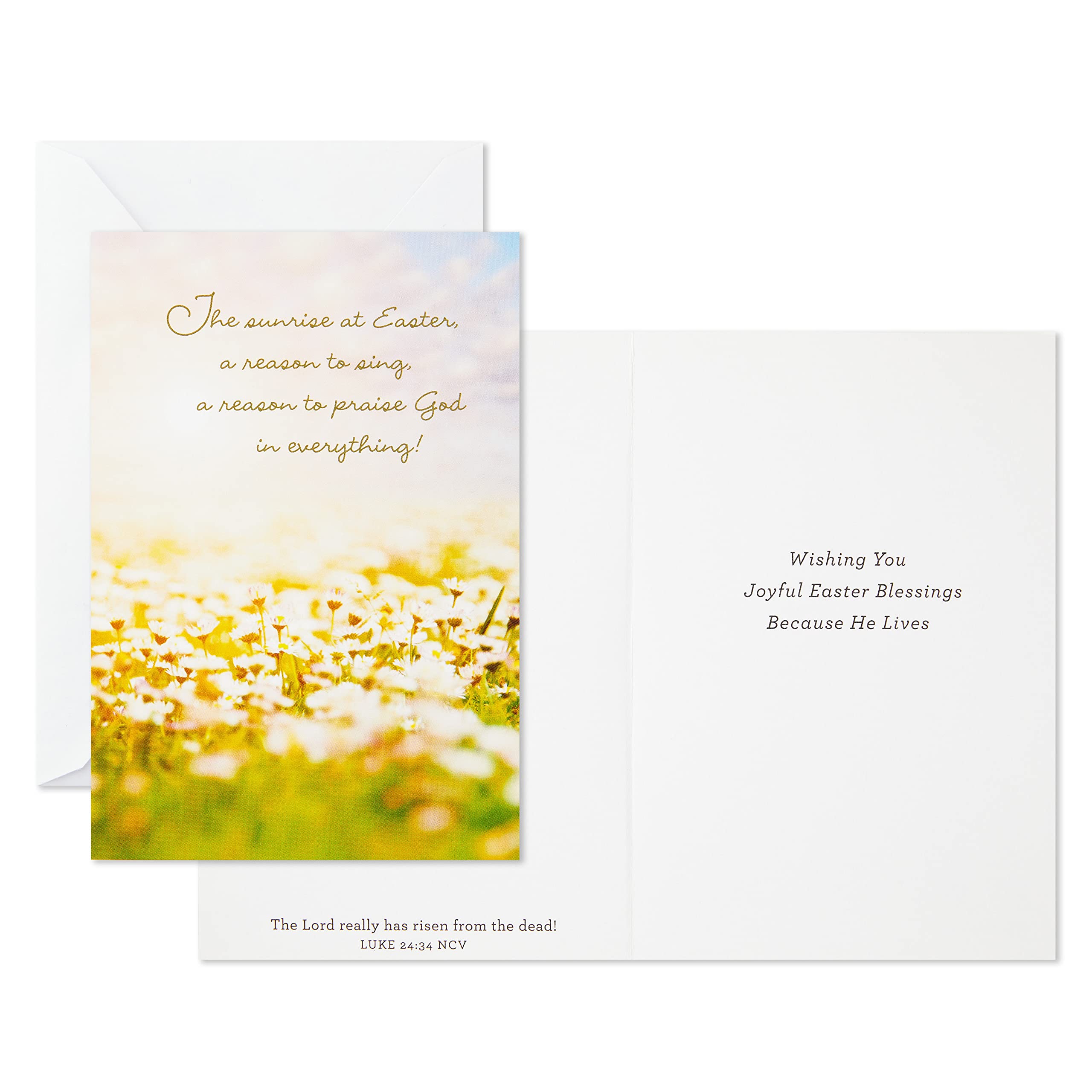 Dayspring Cards DaySpring Pack Of Religious Easter Cards, Alleluia (8 ...