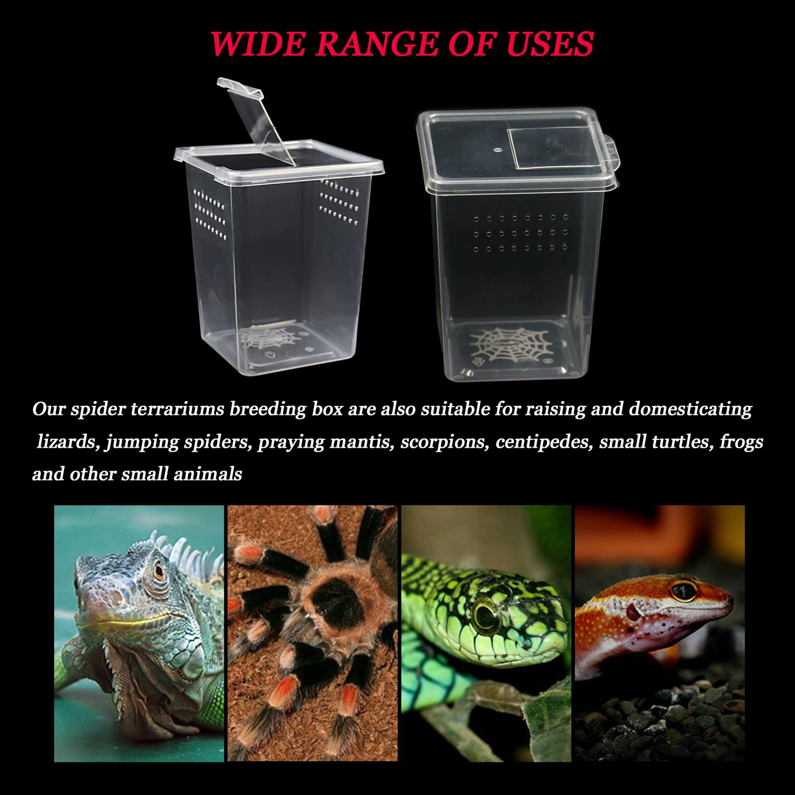 Snapklik.com : 3 Pcs Insect Spider Terrariums Breeding Box, Small ...