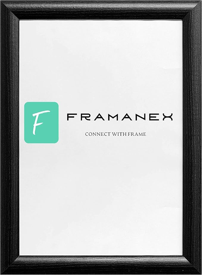 FRAMANEX Modern Dome Shape Frames | Black Colour 20X16" Picture Photo ...