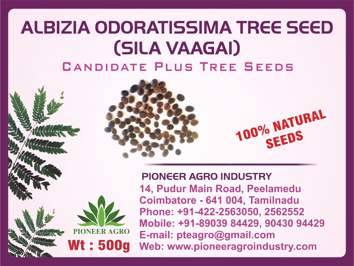 Bokashi Bran Albizia Odoratissima (Sila Vaagai) Tree Seed 500G : Amazon ...