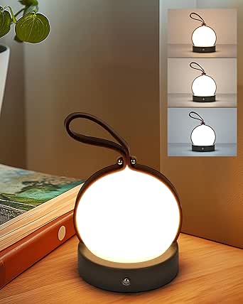 Faithorse Portable Bedside Table Lamp, Battery Operated Night Light 3 ...