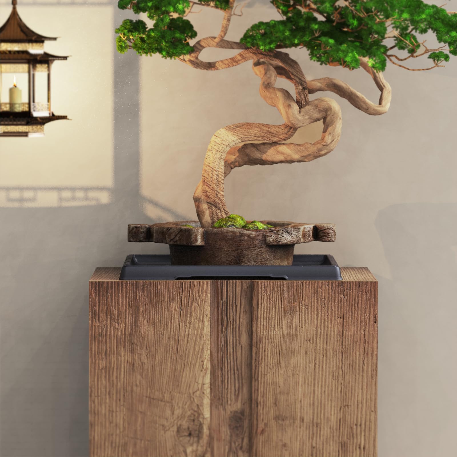 Snapklik.com : WAYNHUI Plant Saucer 3PACK Bonsai Humidity Tray Drip ...