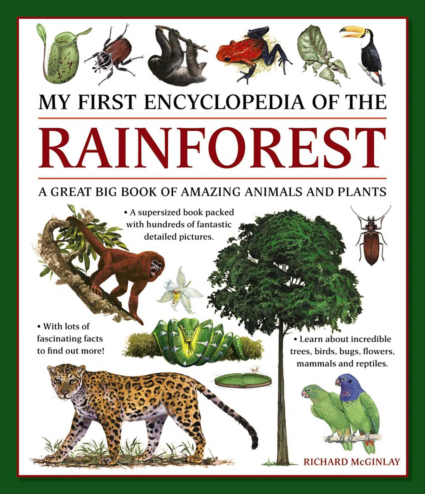 Snapklik.com : My First Encylopedia Of The Rainforest: A Great Big Book ...
