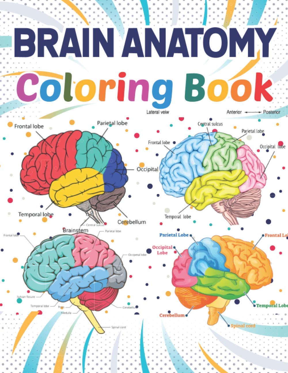 Buy Brain Anatomy Coloring Book: Human Brain Anatomy Self-Quiz Color Workbook for Studying and ...