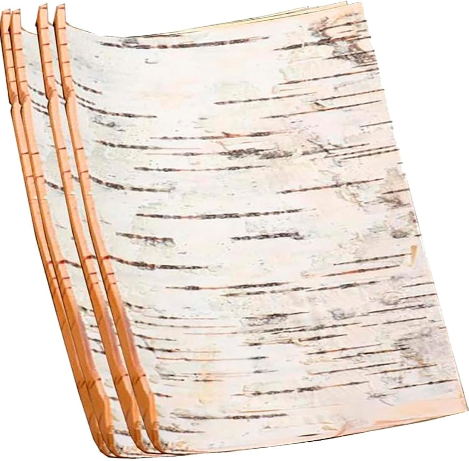 Amazon.com: Natural White Birch Bark 10 Sheets 8" x 8" - DIY Crafts ...