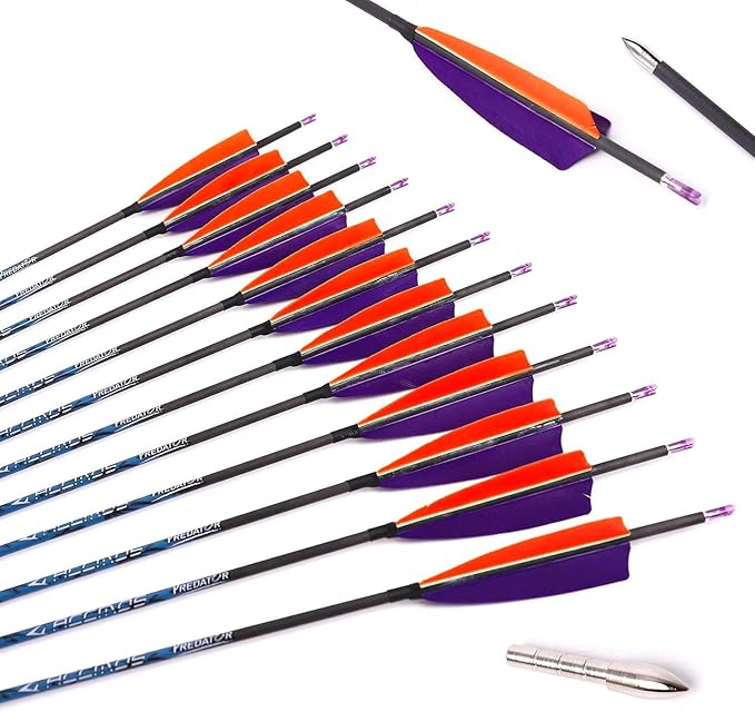 Amazon.com: 23 Inch Arrow Spine 300 Arrow Target Practice Arrow Hunting ...