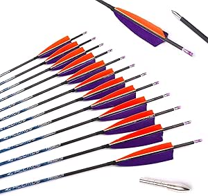 Amazon.com: 28.5 Inch Arrow Spine 600 Arrow Target Practice Arrow ...
