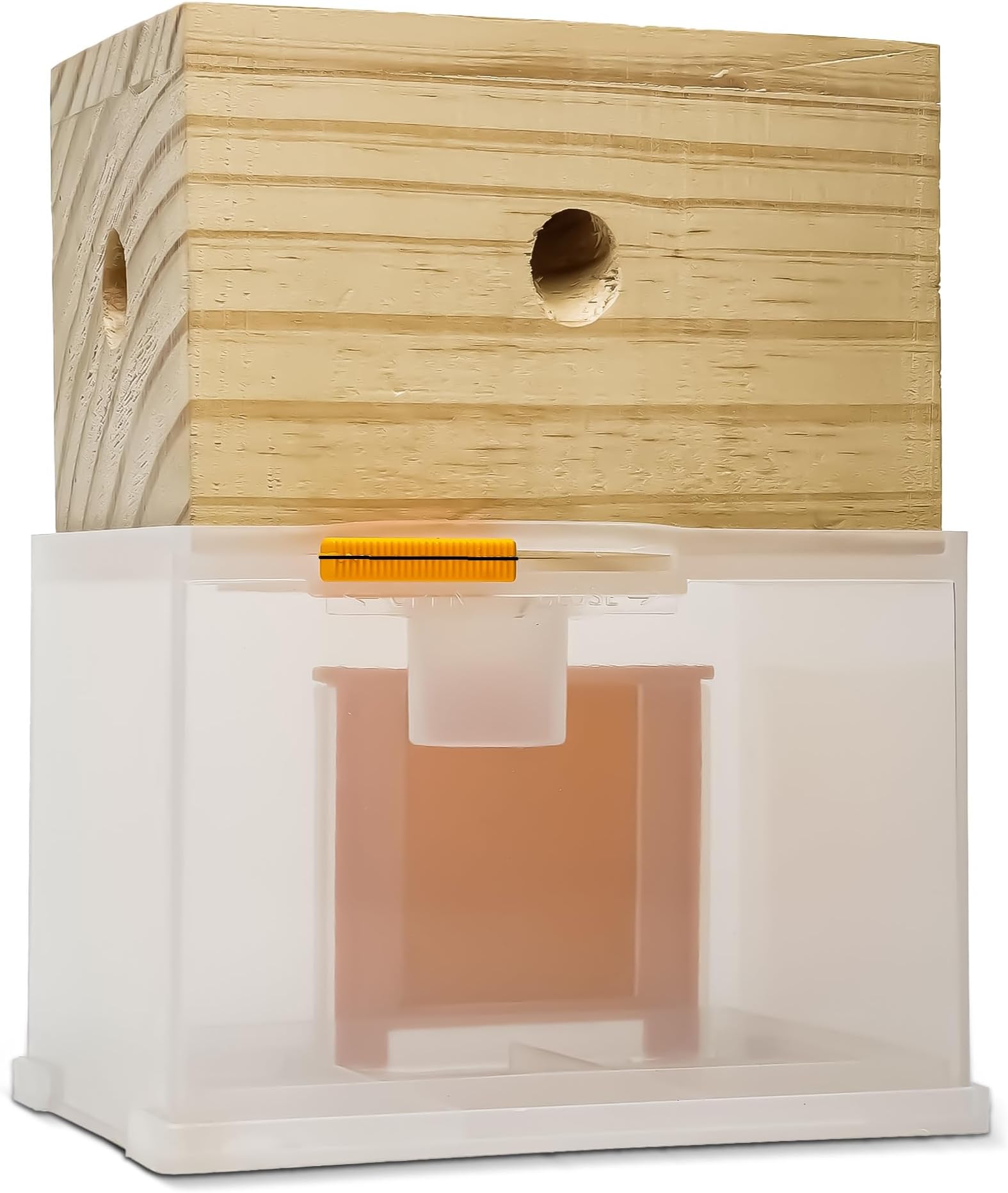 Amazon.com : Bee Warehouse - Carpenter Bee Trap - Wood Boring Bee Trap ...