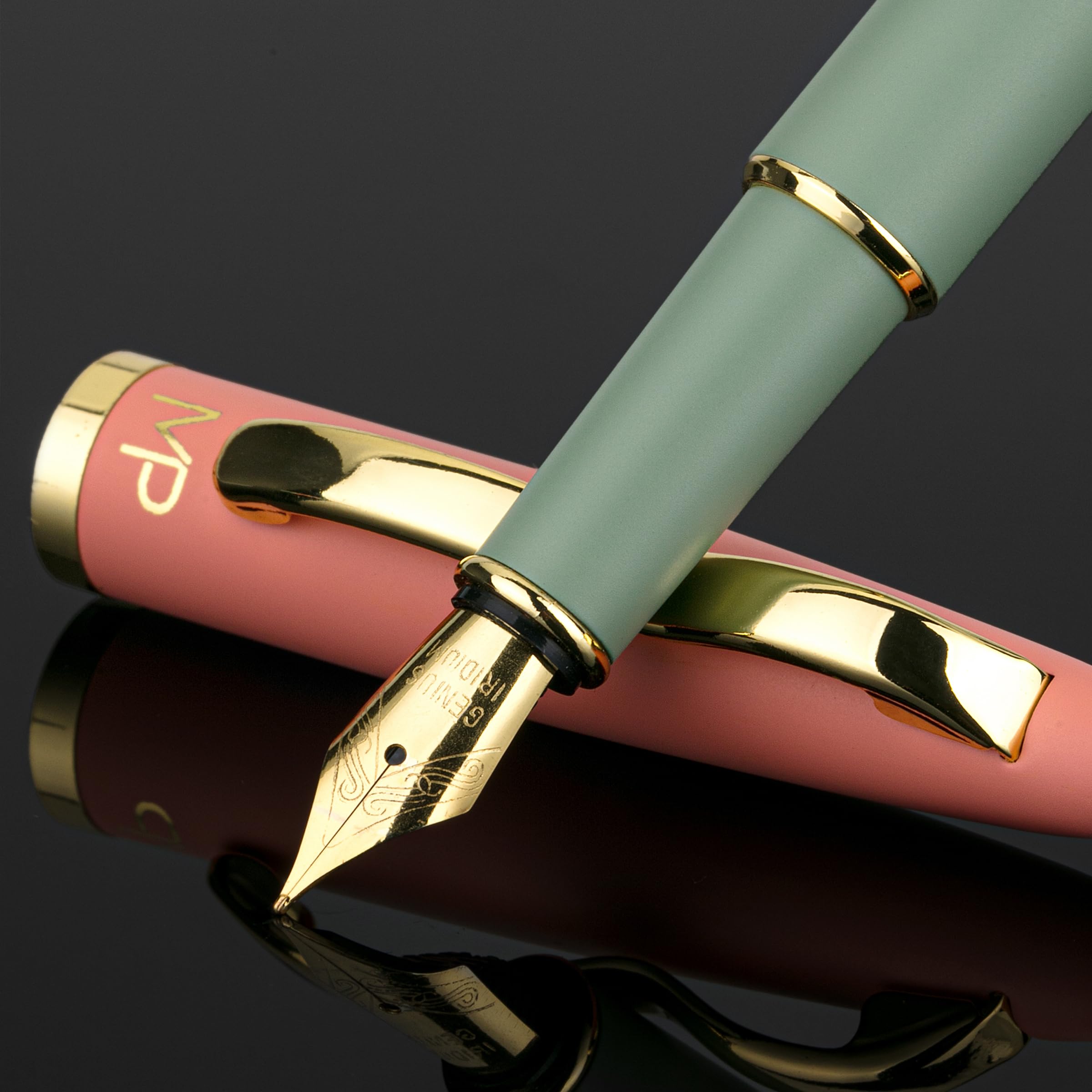 Amazon.com : Mr. Pen- Fountain Pen, Fine Nib, Fountain Pens for Writing ...