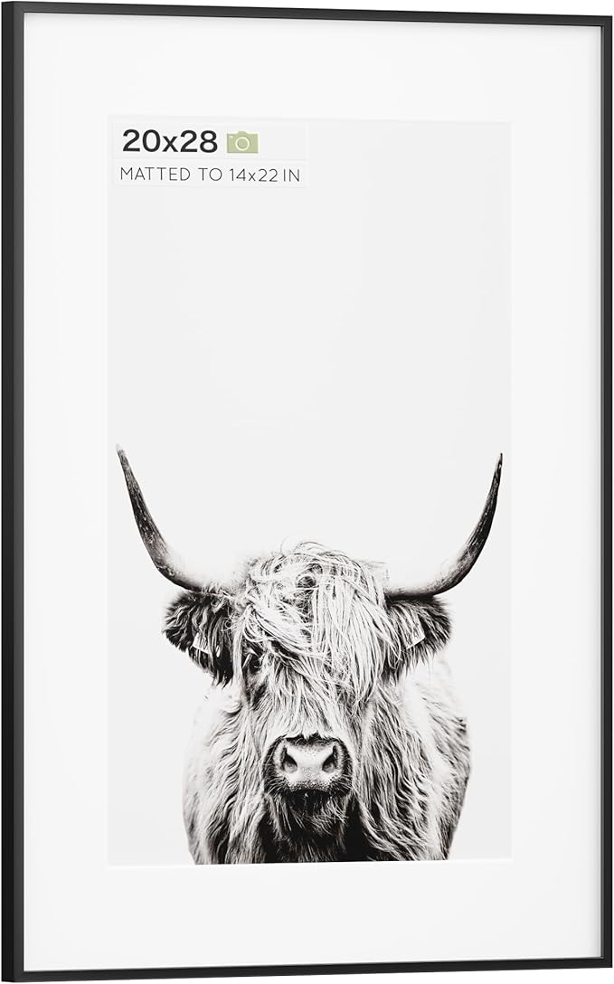 Amazon.com - Homeforia 20x28 Poster Frame Black, Premium Metal 20 x 28 ...