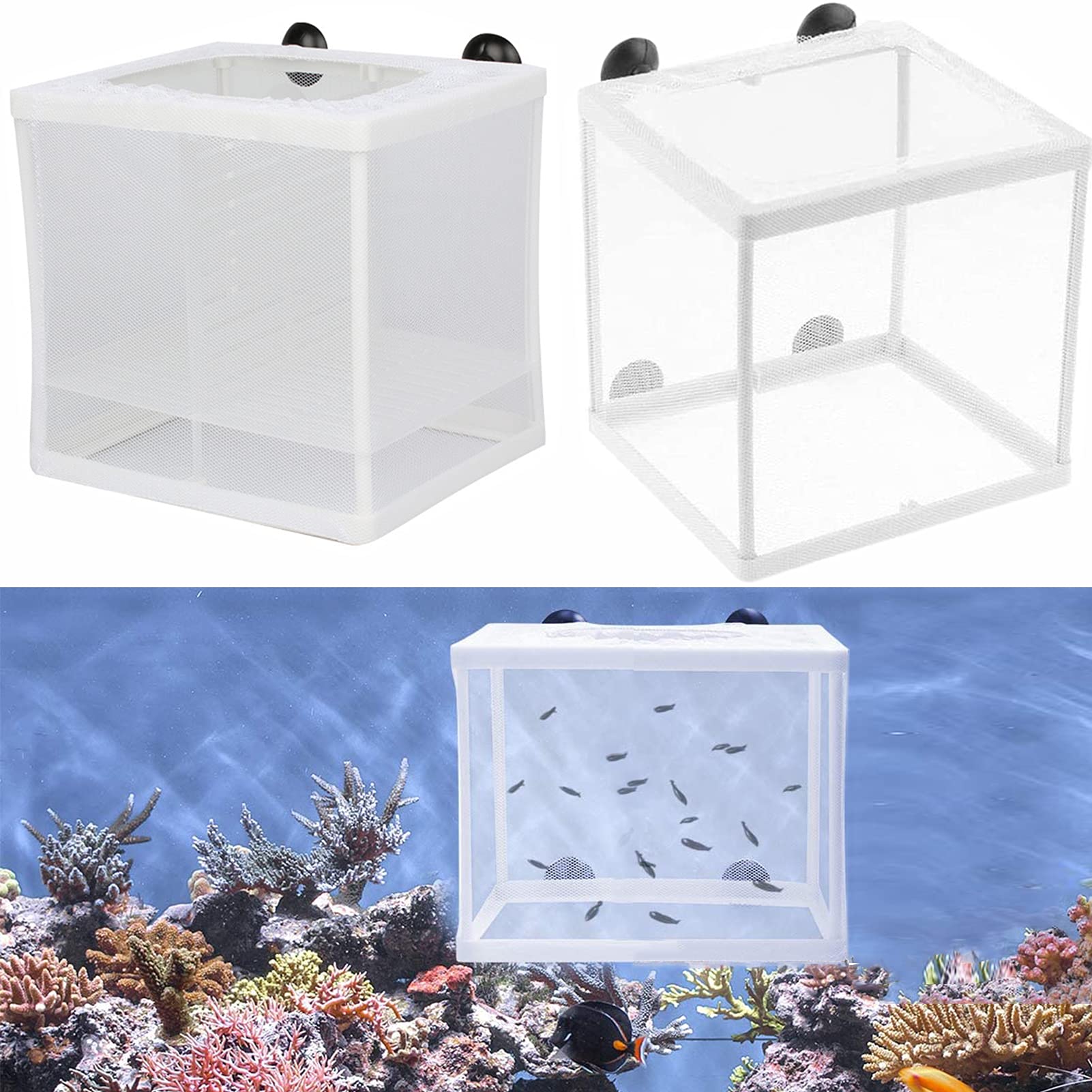 Buy Aquarium Breeding Box,2 Packs Hatchery Incubator,Aquarium Tropical ...