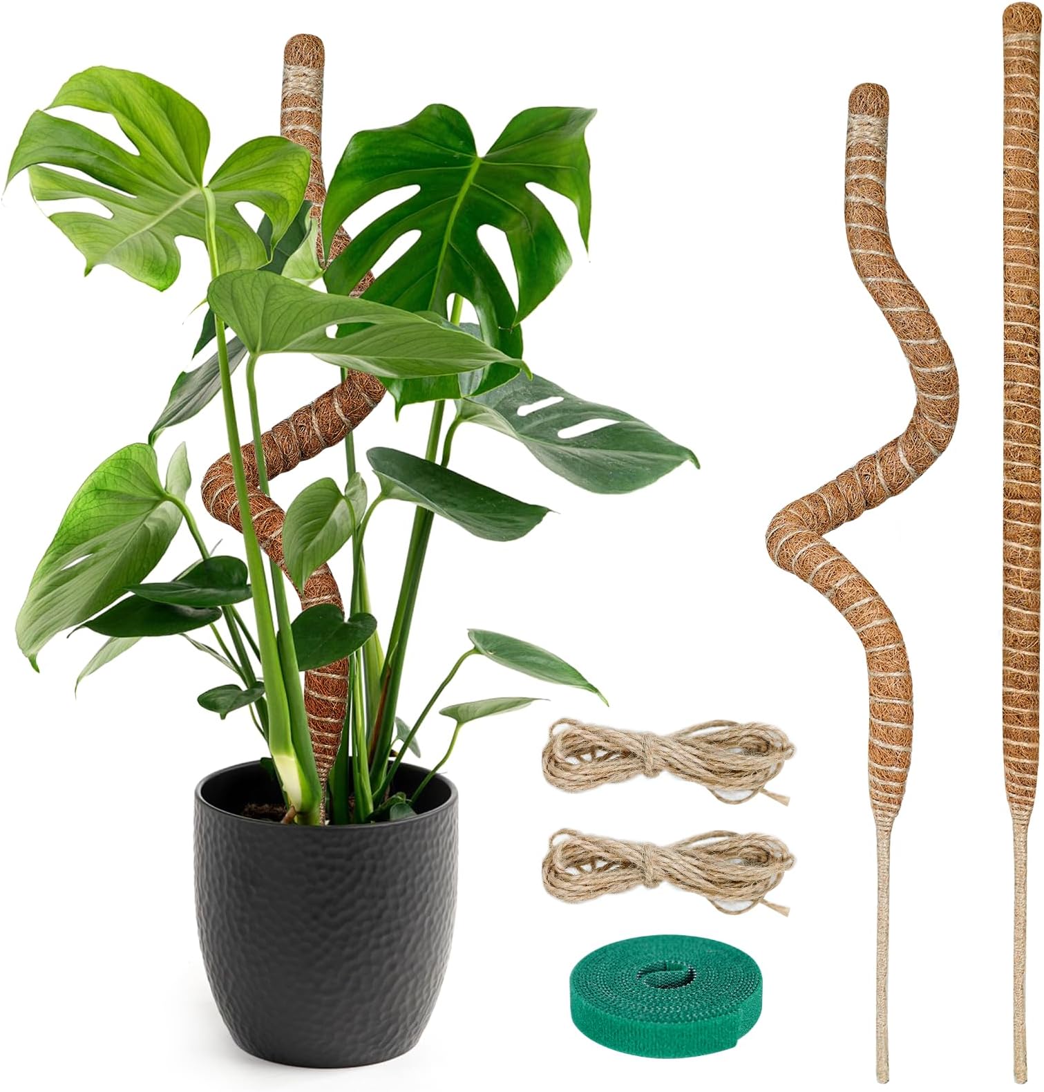 Amazon.com : 2 Pack Moss Pole for Plants Monstera, 28 Inch Bendable ...