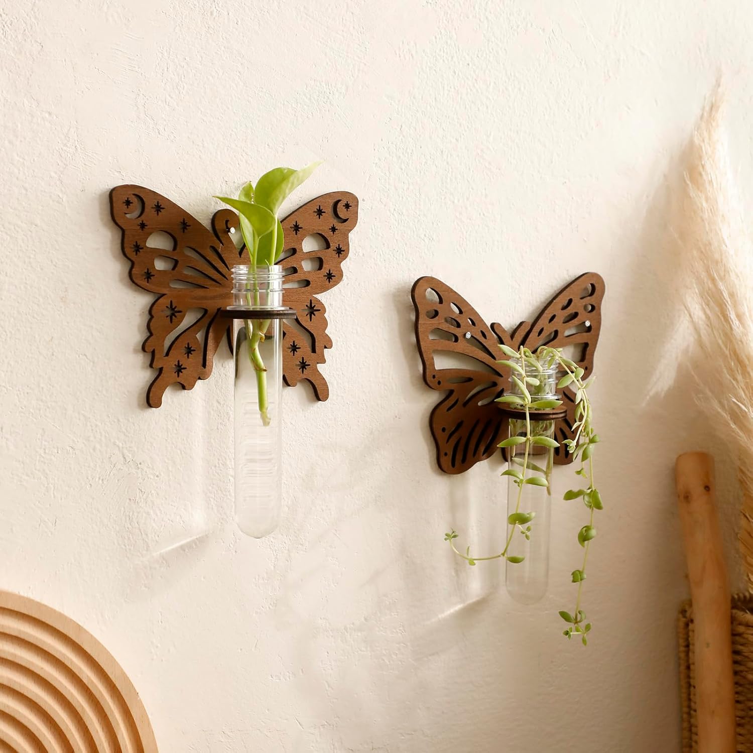 Amazon.com: 2 Pack Plant Propagation Station Butterfly Wall Hanging ...