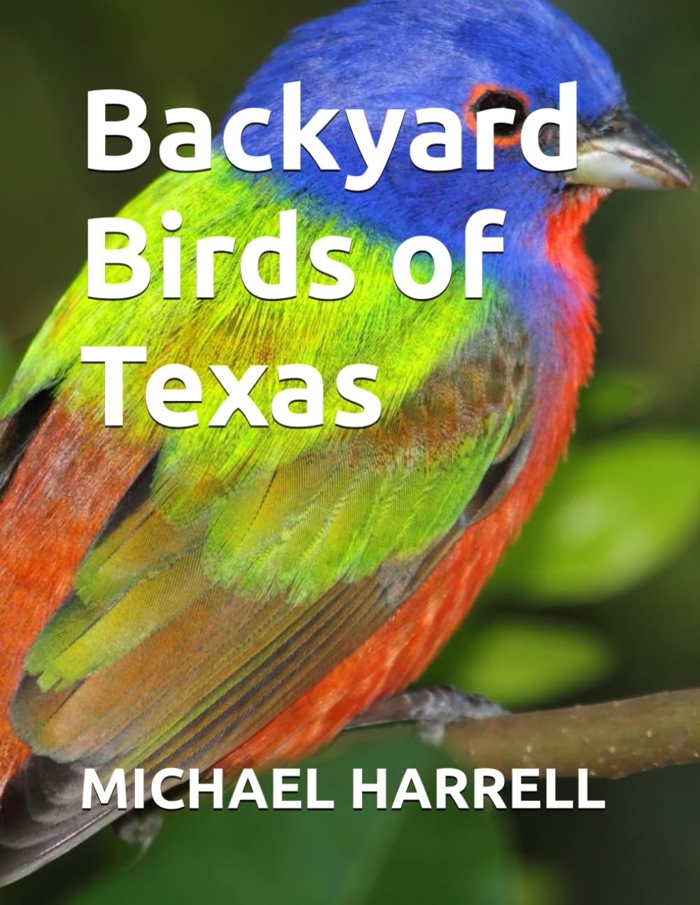 Backyard Birds of Texas (Wildlife of North America and other ...