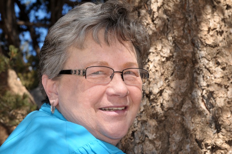 Amazon.com: Janet Webb Farnsworth: books, biography, latest update