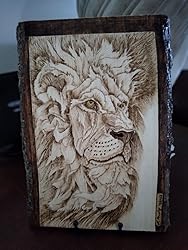 Pyrography Style Handbook: Artistic Woodburning Methods & 12 Step-by ...
