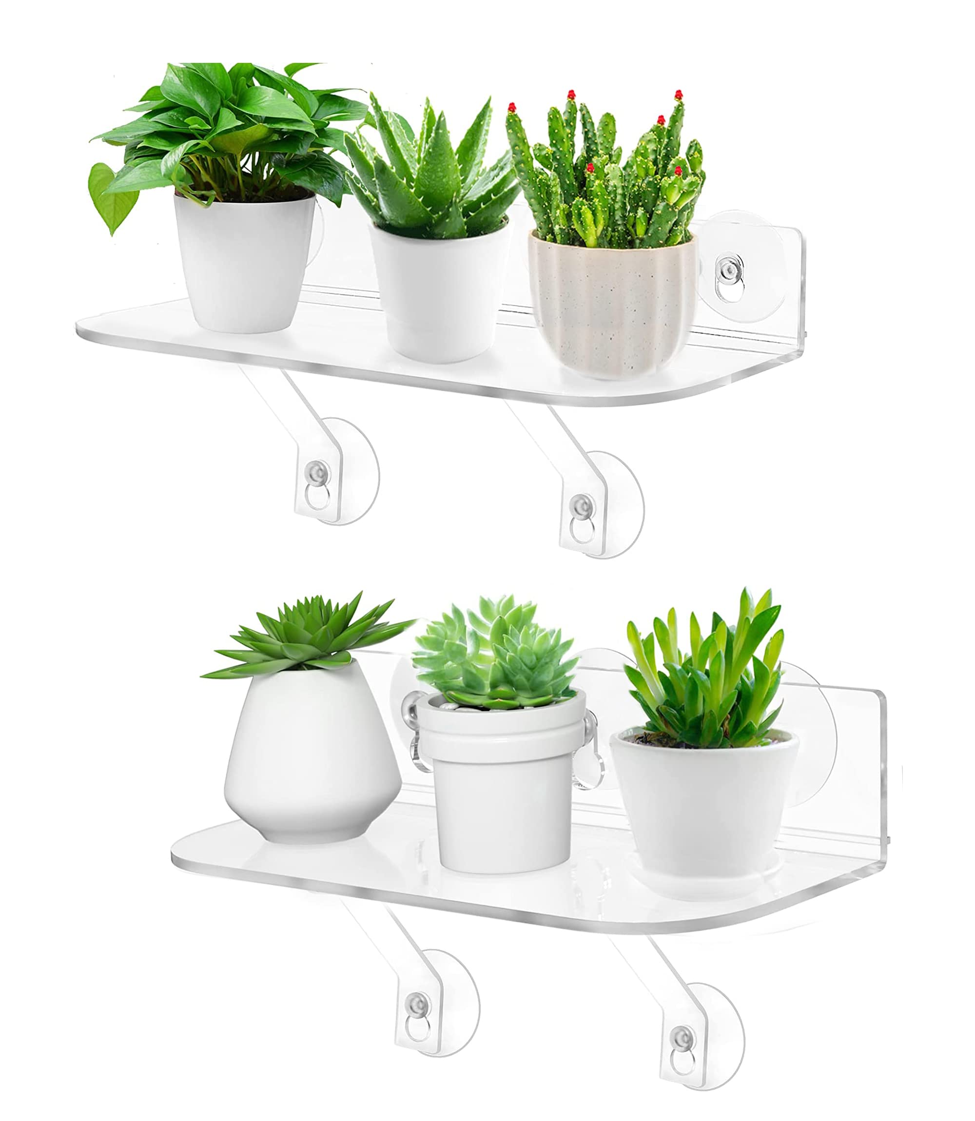 Amazon.com: Oloxayi 2 Pack Window Shelf for Plants with Load-Bearing ...