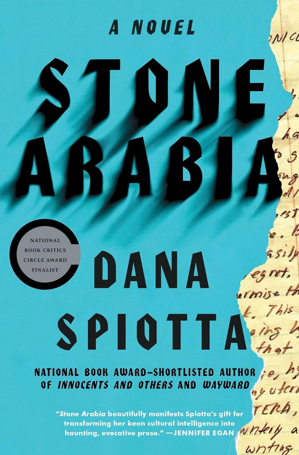 Amazon.com: Stone Arabia: A Novel: 9781451617979: Spiotta, Dana: Books