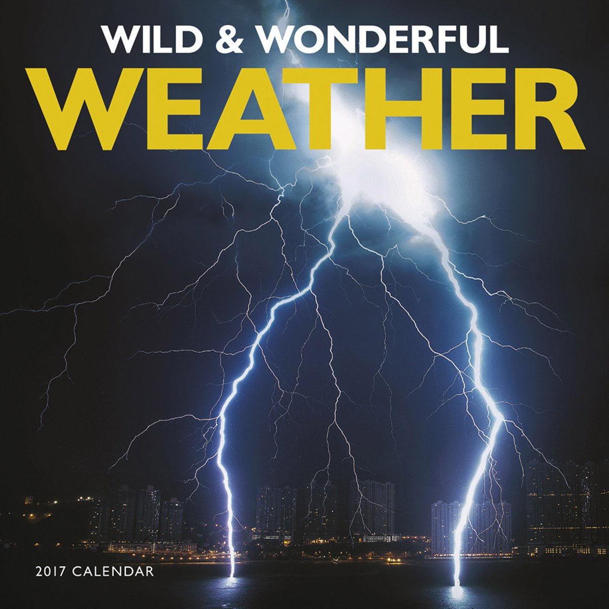 Wild & Wonderful Weather 2017 Calendar (Carousel Calendars) : Lang ...