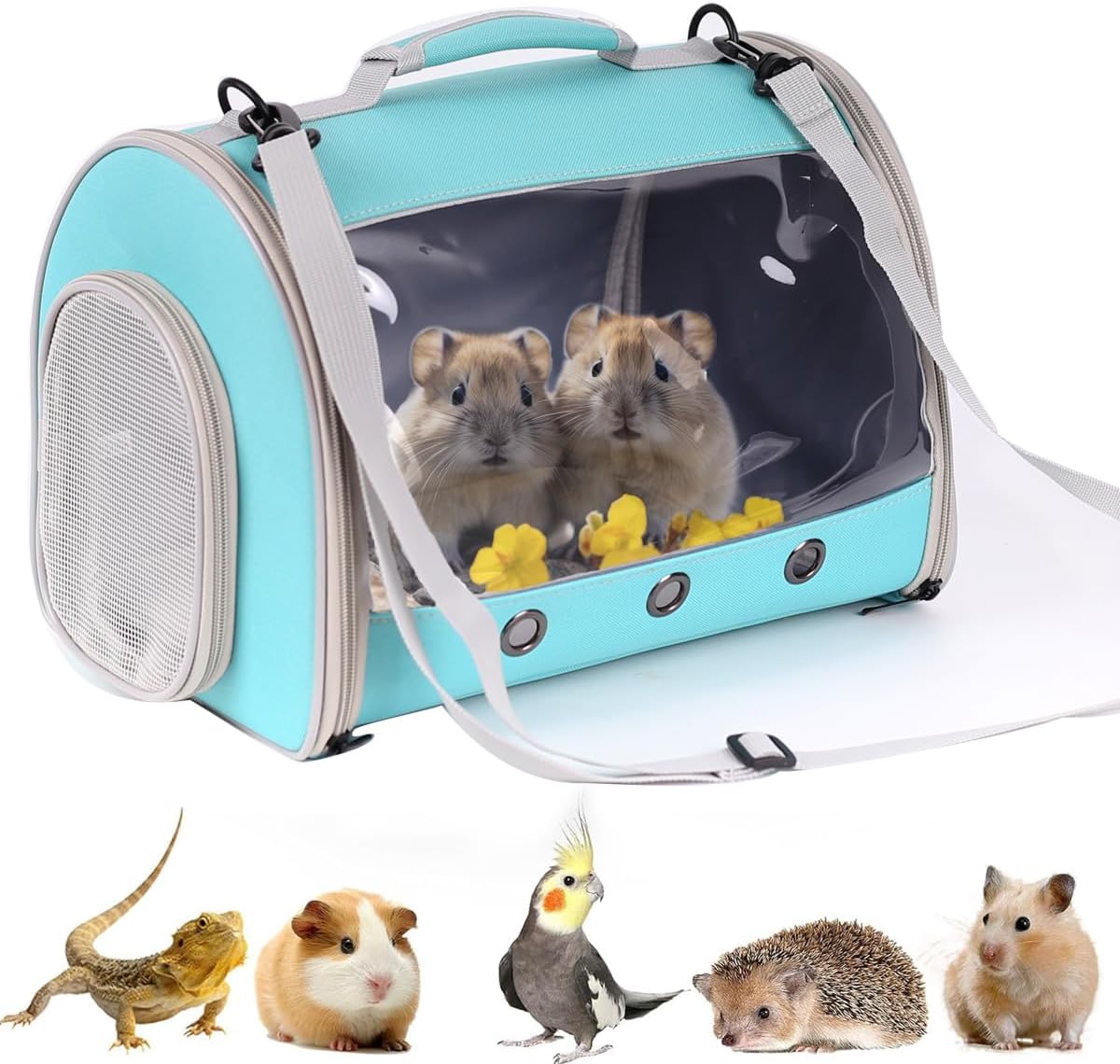 Amazon.com : Bearded Dragon Travel Carrier Backpack,Lizard Backpack ...